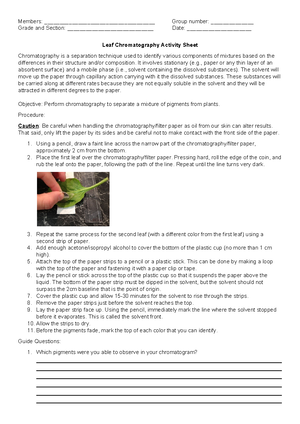 Balloon Yeast Experiment Worksheet - Members ...