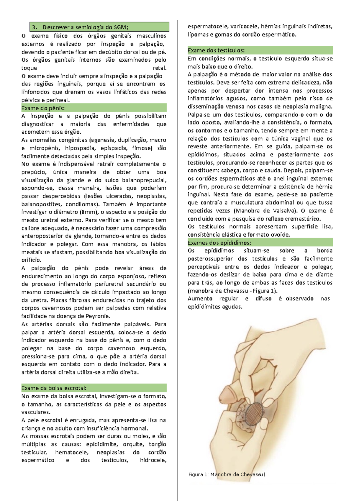 PBL 01 -Q3 - PBL - 3. Descrever a semiologia do SGM; O exame físico dos ...