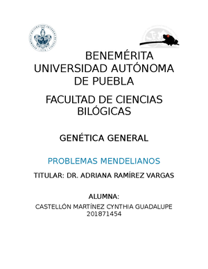 NOM 013 STPS 1993 - Nom 013 - NORMA OFICIAL MEXICANA: NOM-013-STPS-1993 ...