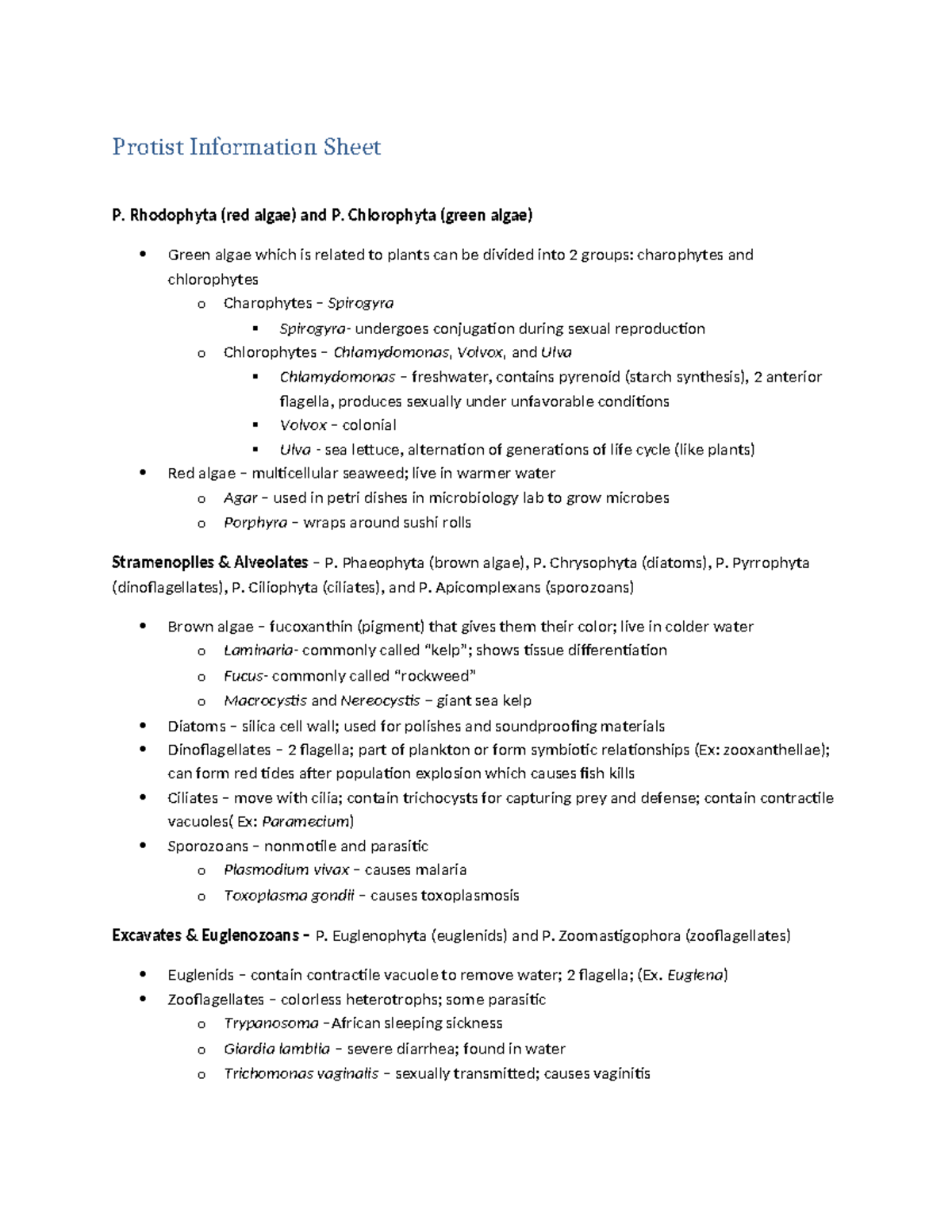 Protist Outline - Tagged - Protist Information Sheet P. Rhodophyta (red ...