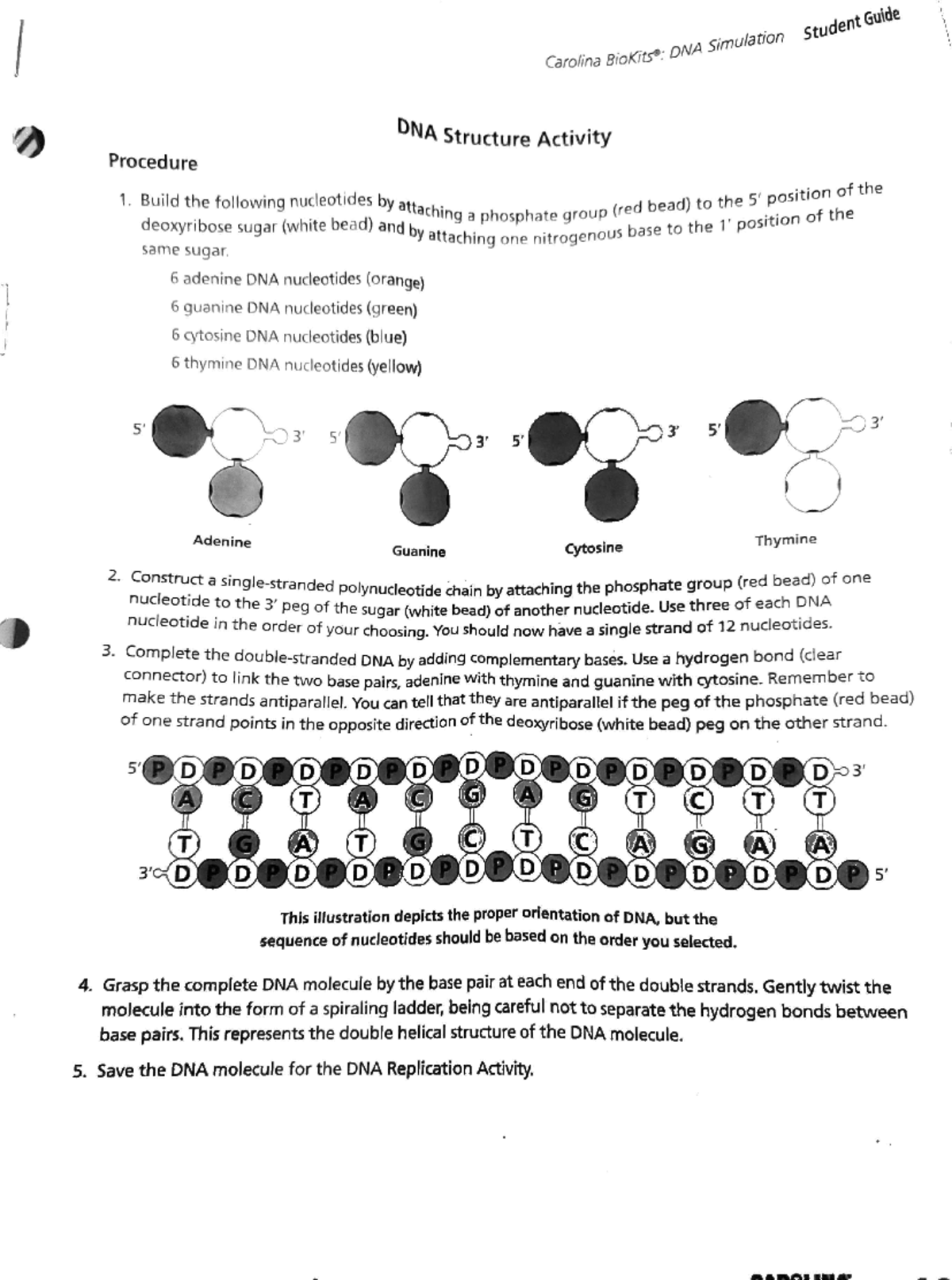 2023-01-07 18-38 - bio lab notebook - BIOL 171 - Studocu