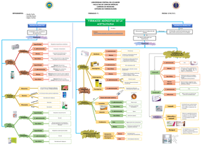 Fármacos Antivirales Mapa Conceptual Herpes y Antigripales ...