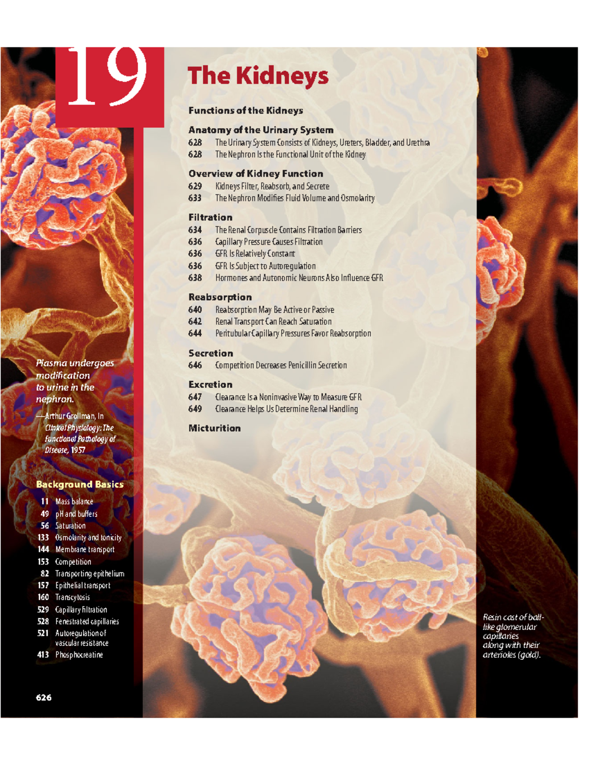 Kidney textbook - Contains good vidual images, bulleted summaries ...