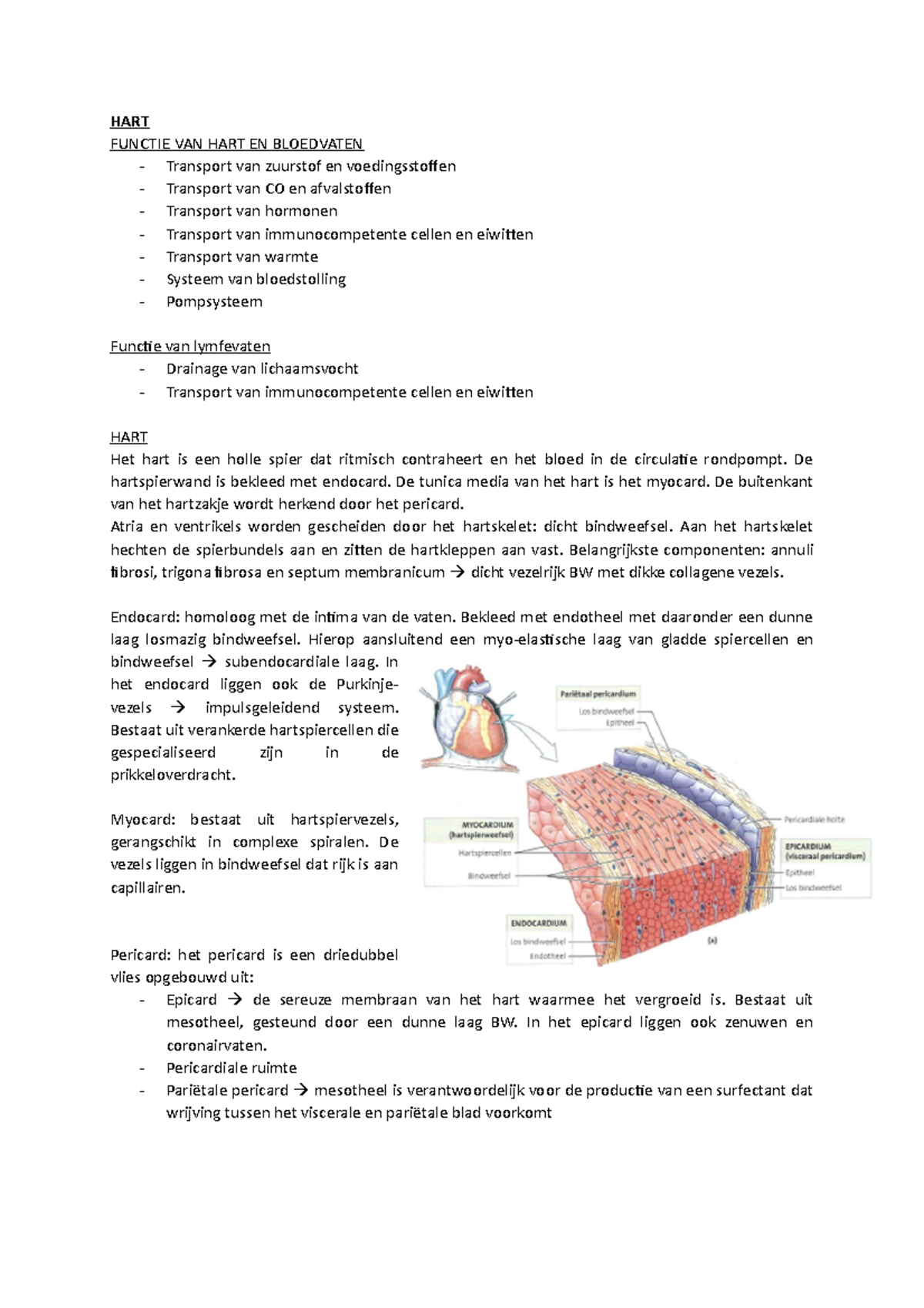 Histologie - Hart - HART FUNCTIE VAN HART EN BLOEDVATEN Transport van ...