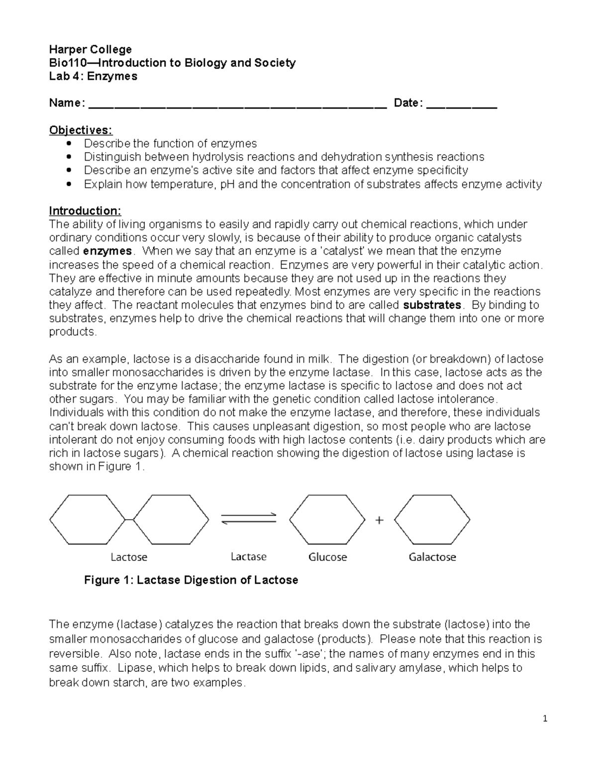 Lab 4 Enzymes online Fall2020 - Harper College Bio110—Introduction to ...
