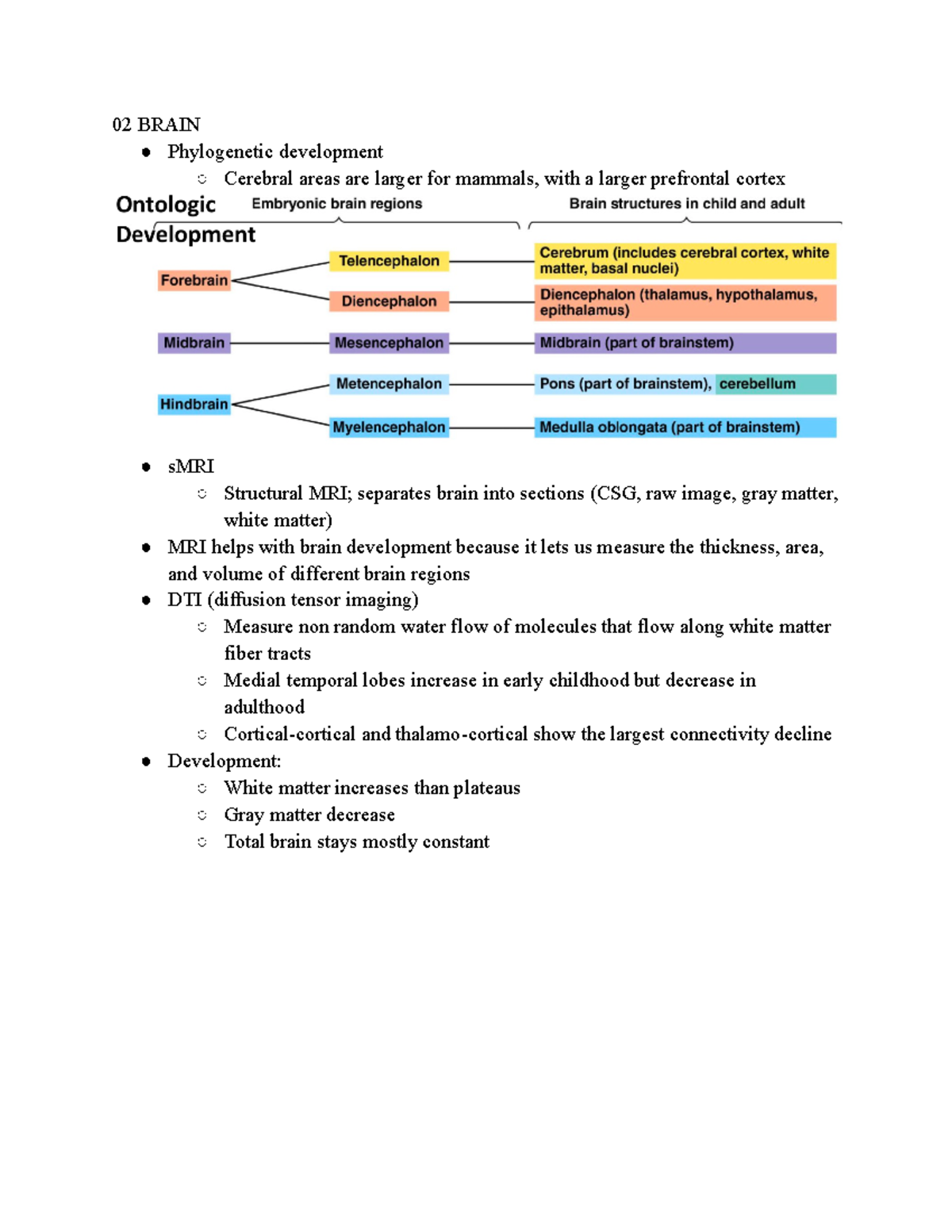 Cog Neuro Exam 1b Study Guide - 02 BRAIN Phylogenetic development ...