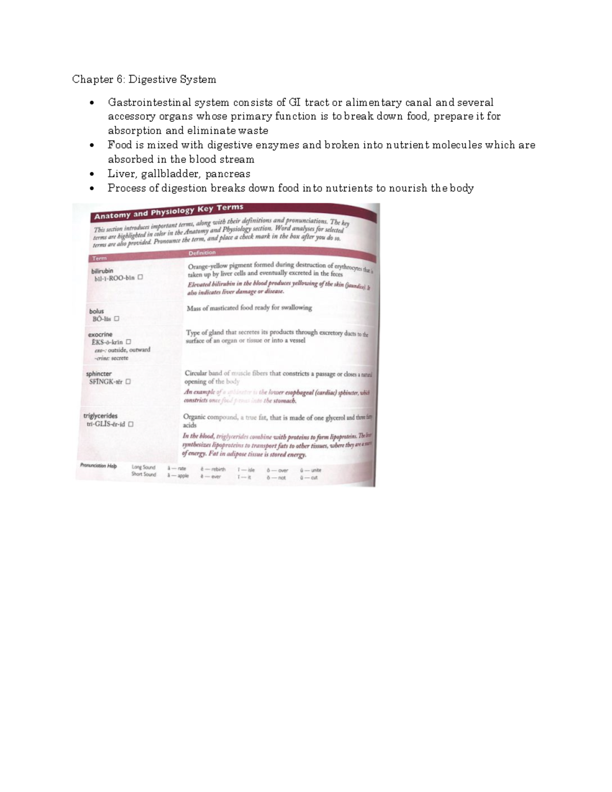 Chapter 6 - Chapter 6: Digestive System Gastrointestinal system ...