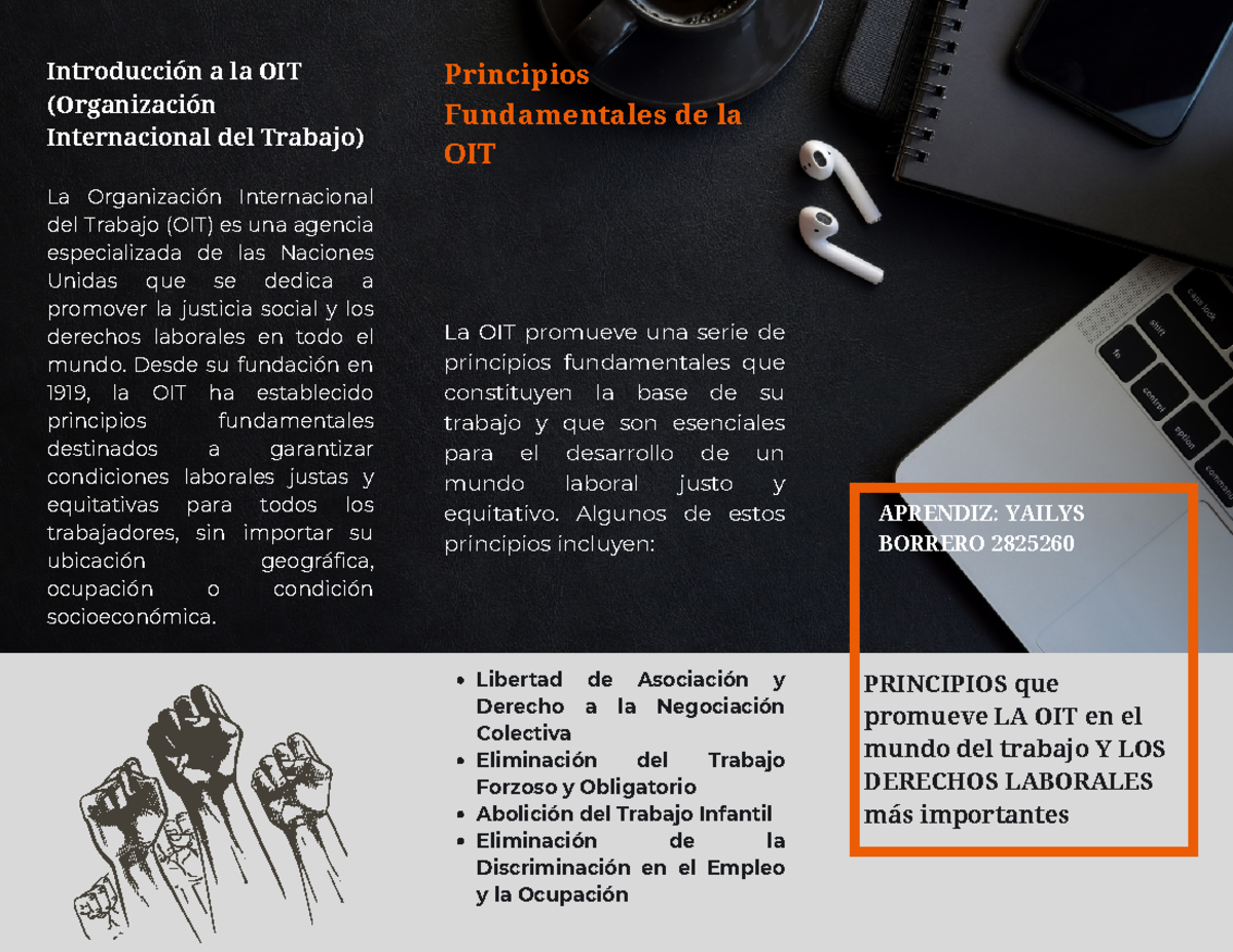 Folleto OTI - vyuyuyv - PRINCIPIOS que promueve LA OIT en el mundo del ...