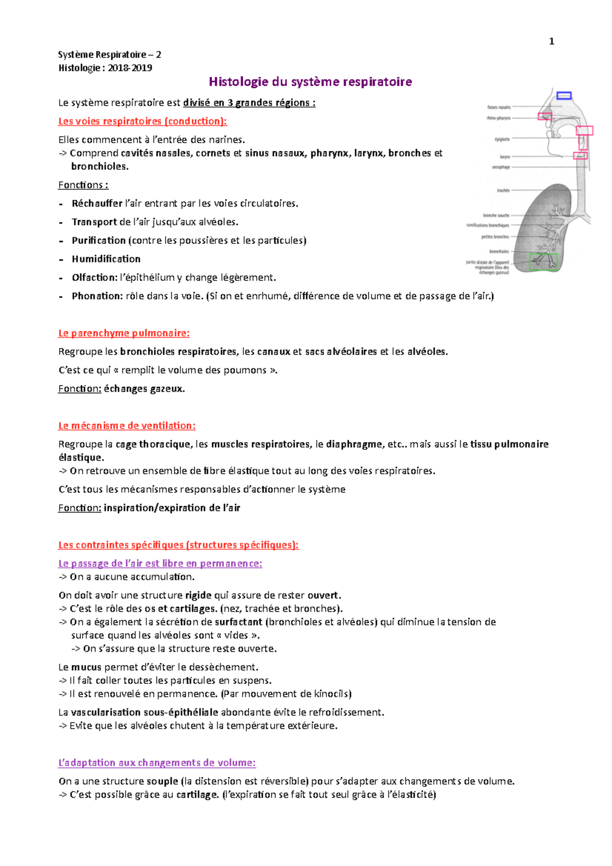 2. Histologie du système respiratoire - Warning: TT: undefined function: 32 Système Respiratoire ...