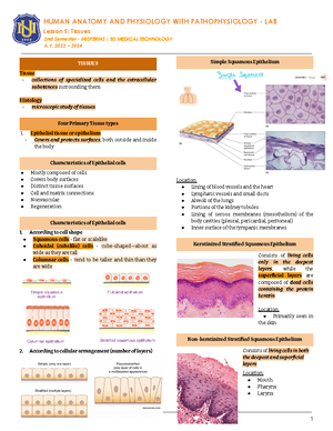 Lesson 7 The Integumentary System and Accessory Organs of the Skin ...
