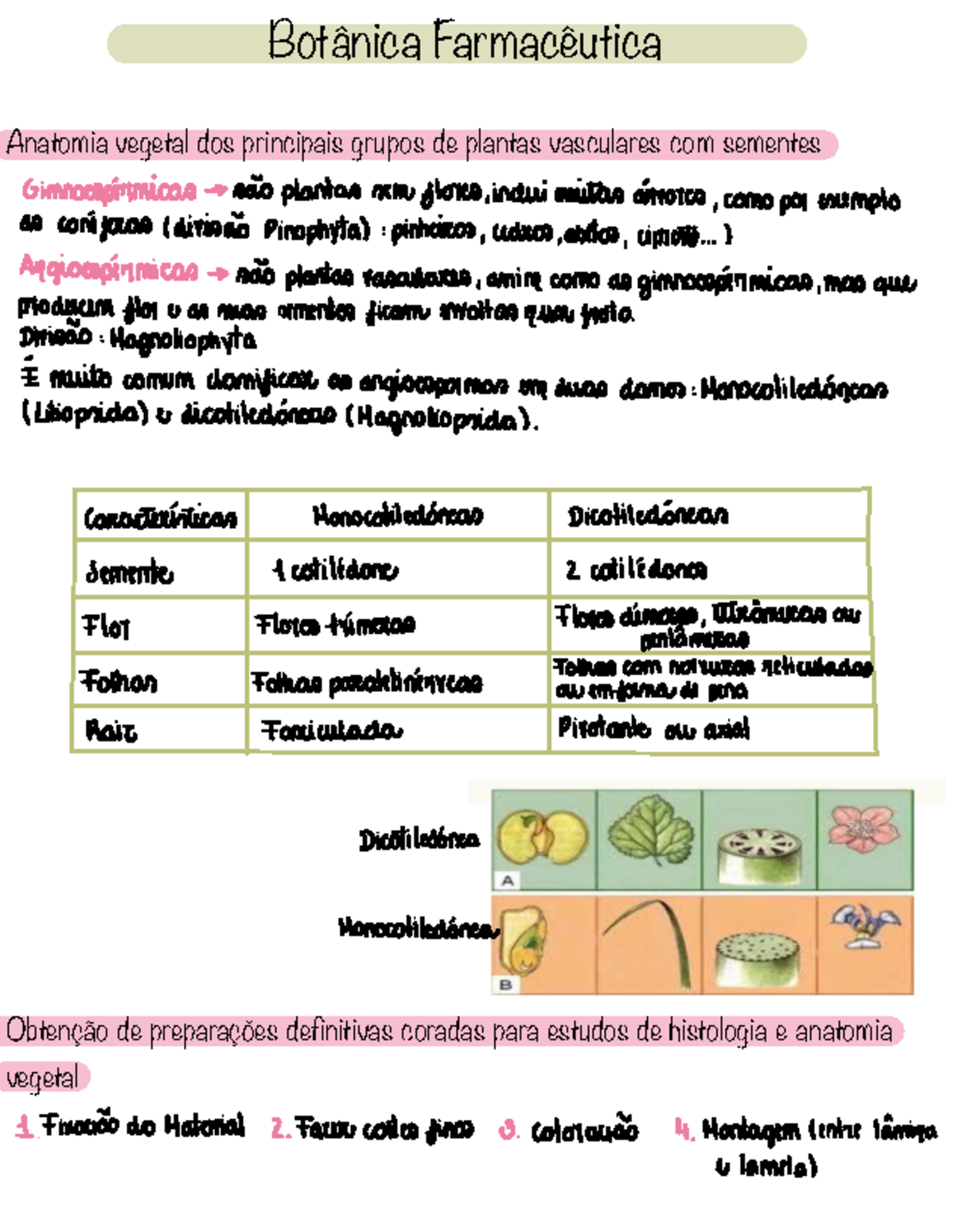 Botânica Farmacêutica Botânica Farmacêutica Anatomia Vegetal Dos 5113