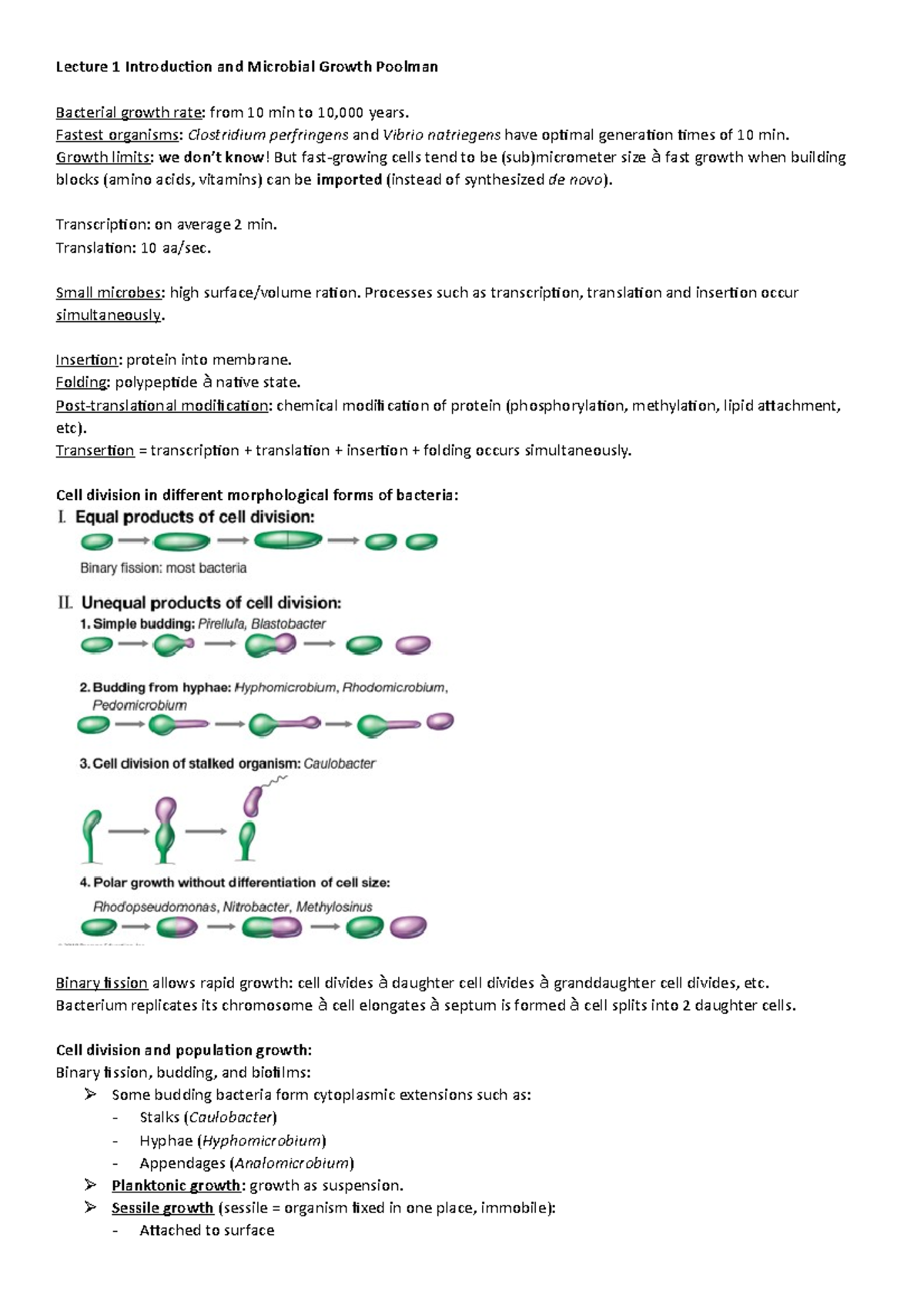 Microbiology Summary of all lectures - RUG - Studeersnel