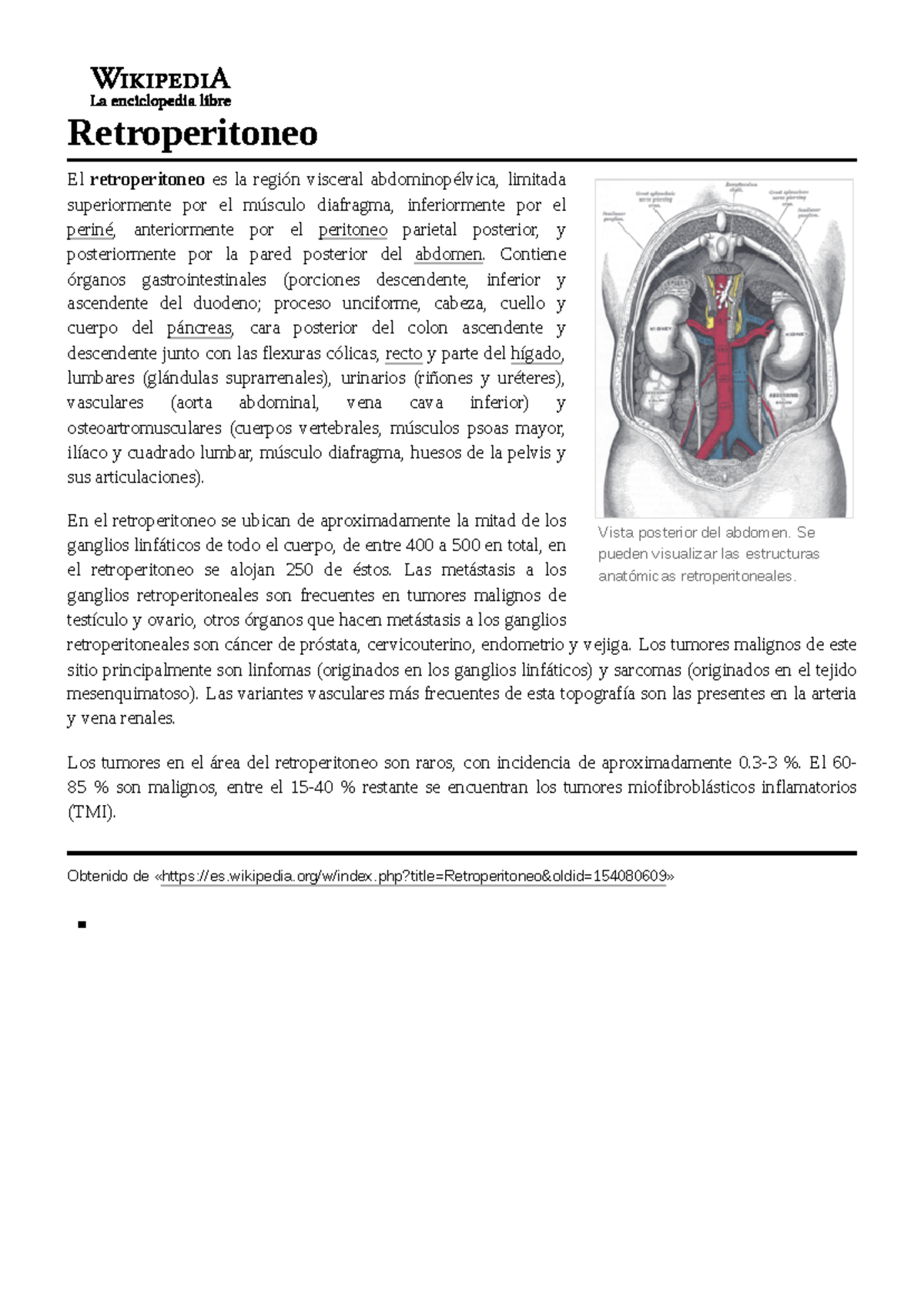Retroperitoneo - Vista posterior del abdomen. Se pueden visualizar las ...