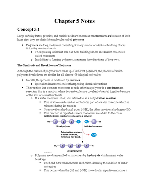 Exp22 Word Ch04 ML1 Design - Designing a Web Site Shannon Lee Table of ...