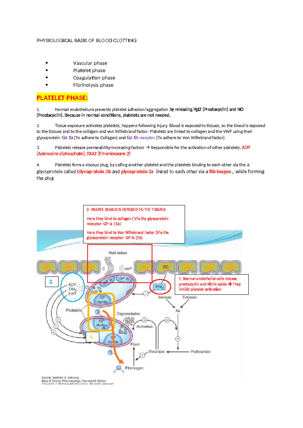 own notes antiplatelet - PHYSIOLOGICAL BASIS OF BLOOD CLOTTING Vascular ...