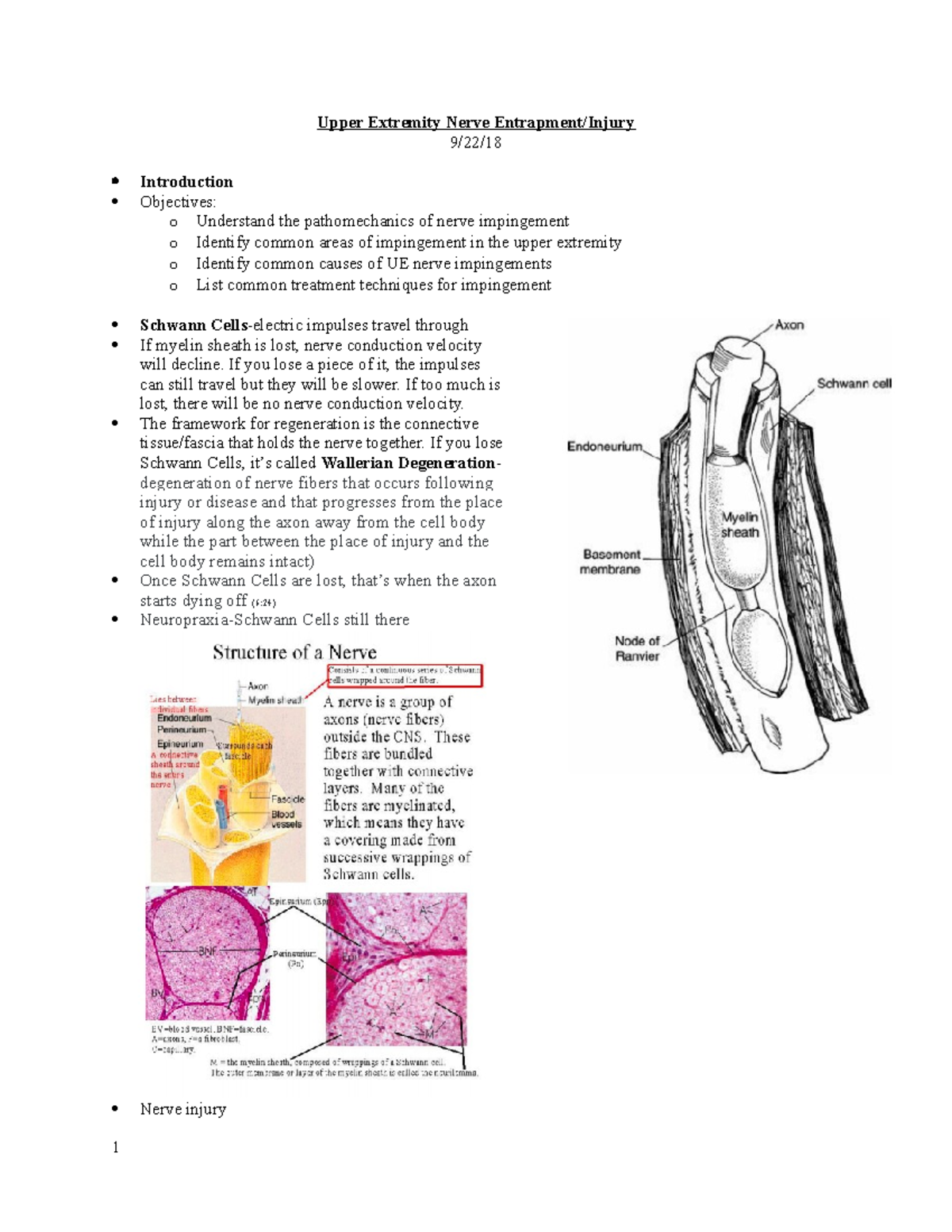Upper Extremity Nerve Entrapment - Upper Extremity Nerve Entrapment ...