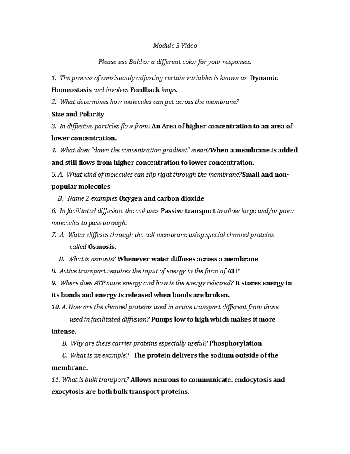 Mod3Video 2 1 - pe258 - Module 3 Video Please use Bold or a different ...