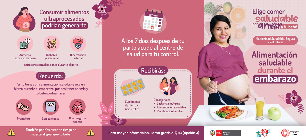 Triptico v02 - Alimentación saludable durante el embarazo Maternidad Saludable, Segura y ...