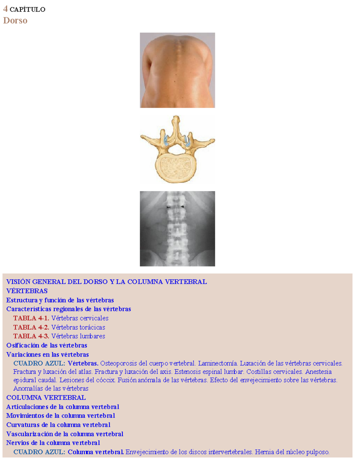 Dorso anatomía y embriología 2 - 4 CAPÍTULO Dorso VISIÓN GENERAL DEL ...
