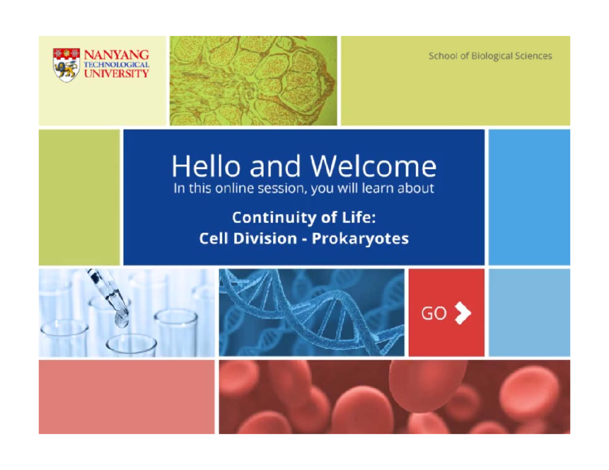 LO19 - Continuity of Life Cell Division - Prokaryotes - BS1001 - Studocu