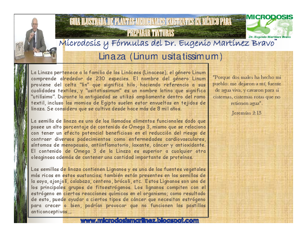 Linaza - Apunte sobre los beneficios y características de la planta ...