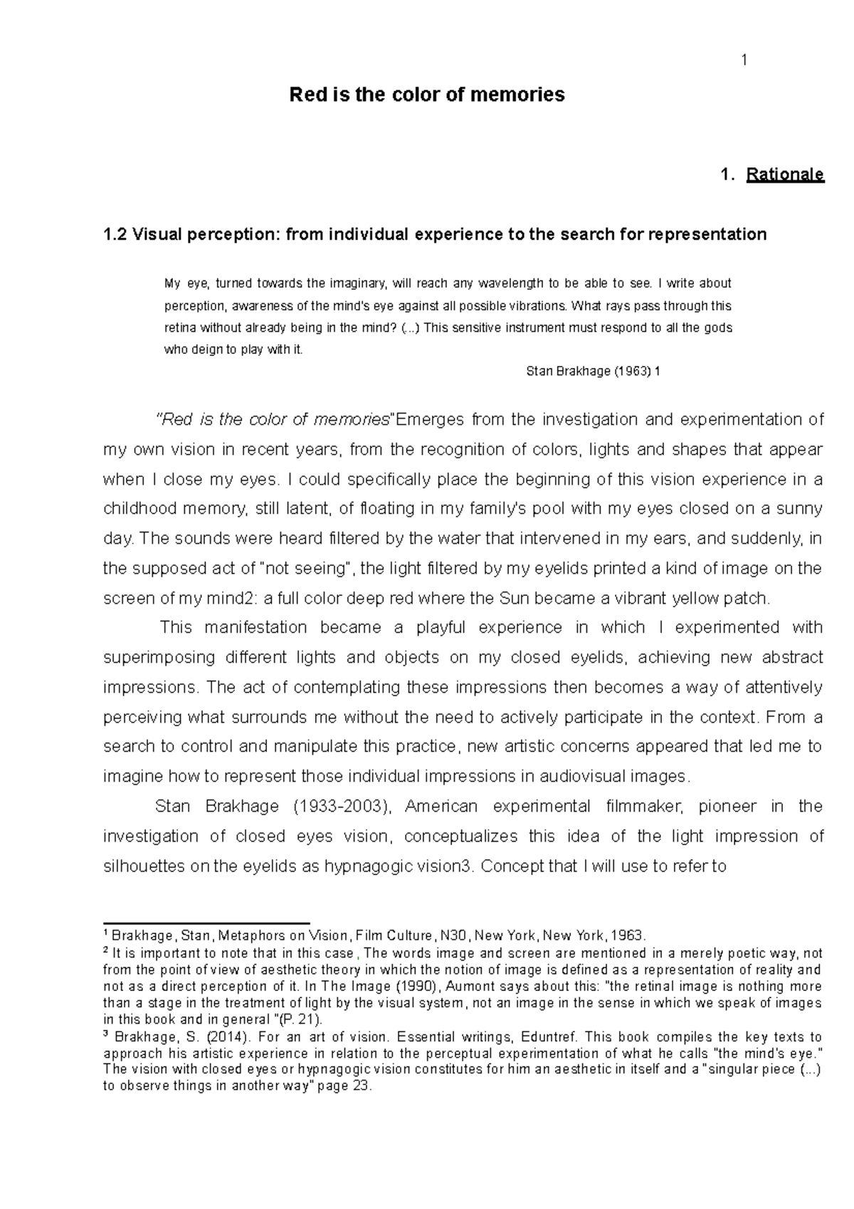 Red is the color of memories - Rationale 1 Visual perception: from ...