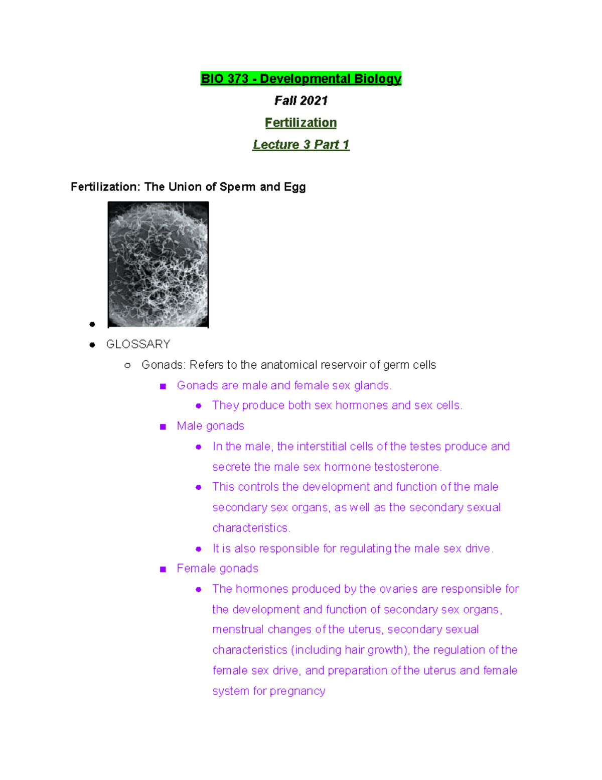 BIO 373 Lecture 3 Part 1 - Fall 2021 - BIO 373 - Developmental Biology ...