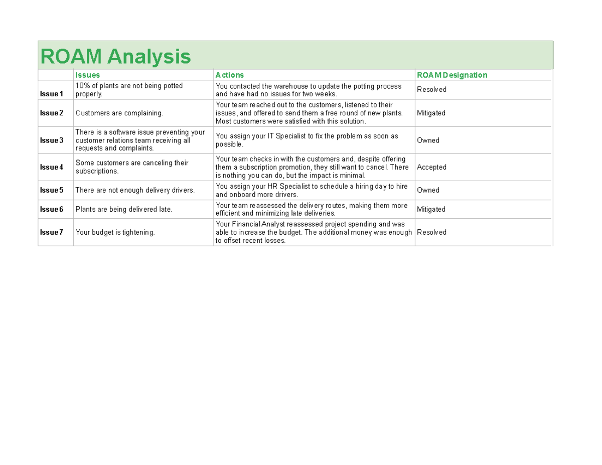 C4M1 ROAM Analysis - Template - ROAM Analysis Issues Actions ROAM ...
