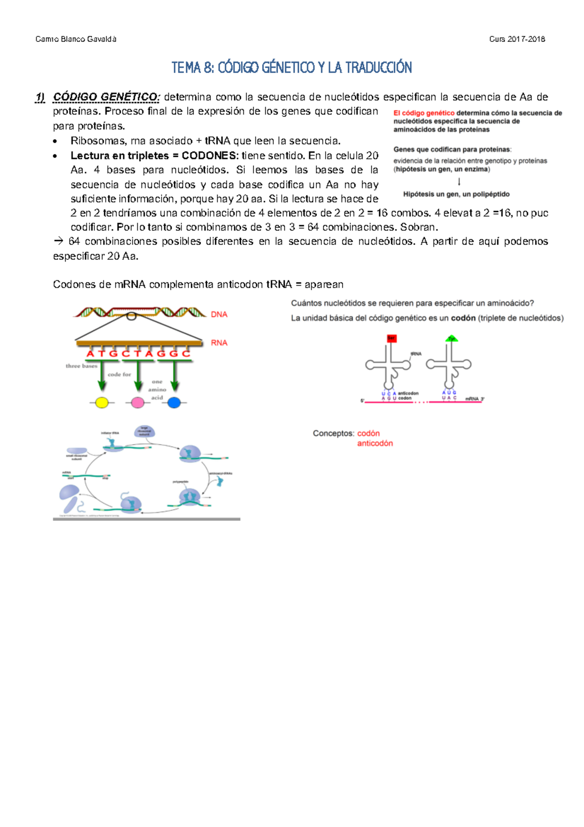 Tema 8 Código genètico y transcripción - Carme Blanco Curs TEMA 8: Y LA ...