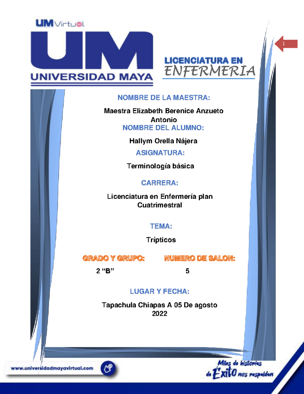 Orella EF 2B Tripticos - información concentrada - 1 ENFERMERIA NOMBRE ...