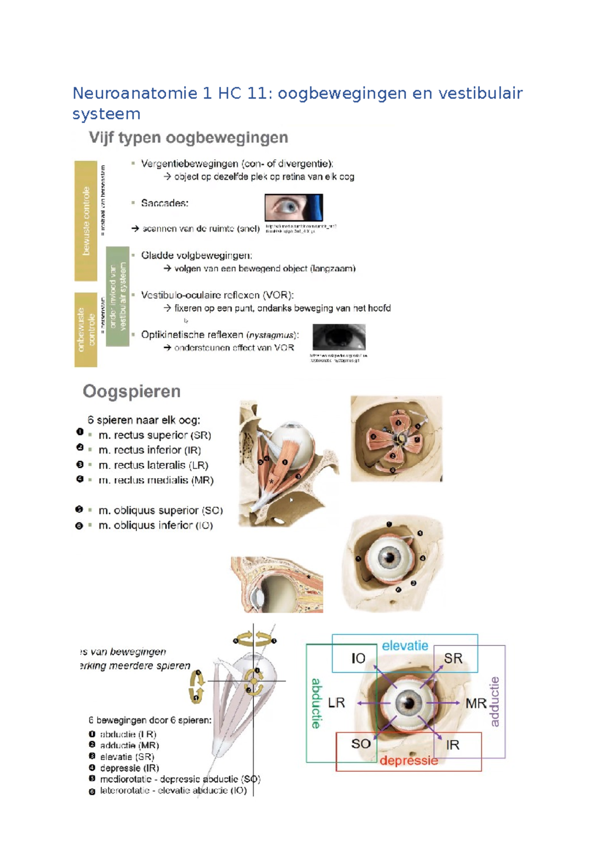 Neuroanatomie 1 collegeaantekeningen hoorcollege 11 - Neuroanatomie 1 ...