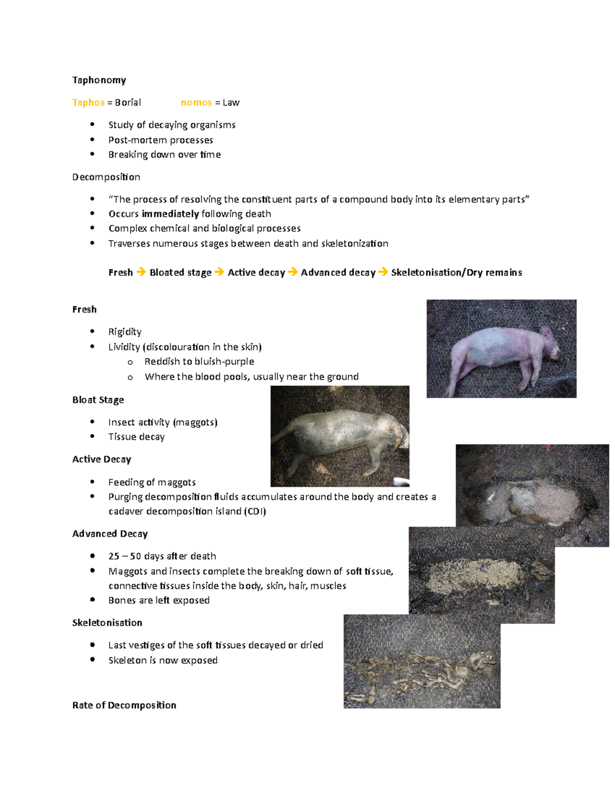 FS Taphonomy and Anthopology - Taphonomy Taphos = Borial nomos = Law ...