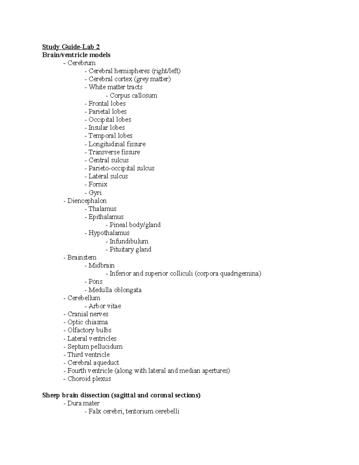 Lab 2 The Brain Study Guide - Study Guide-Lab 2 Brain/ventricle models ...