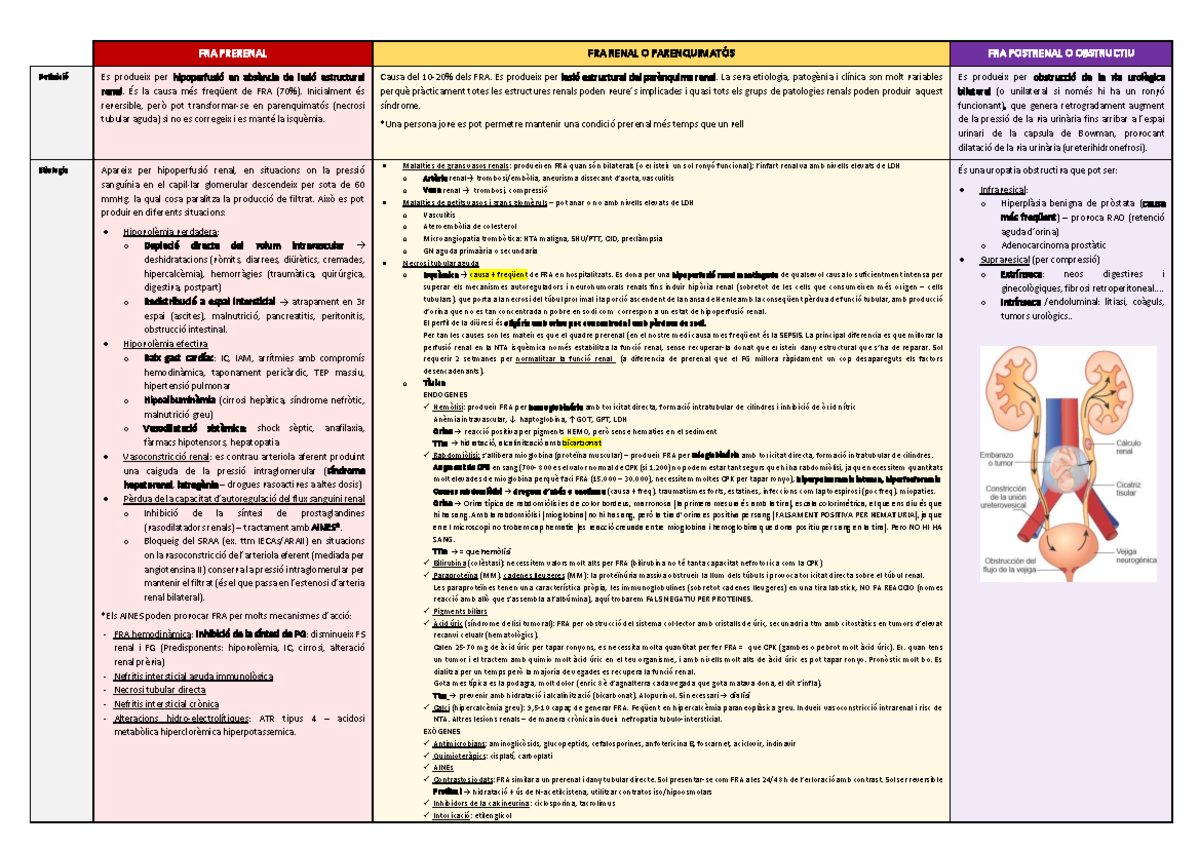 Tipus FRA - FRA PRERENAL FRA RENAL O PARENQUIMATÓS FRA POSTRENAL O ...