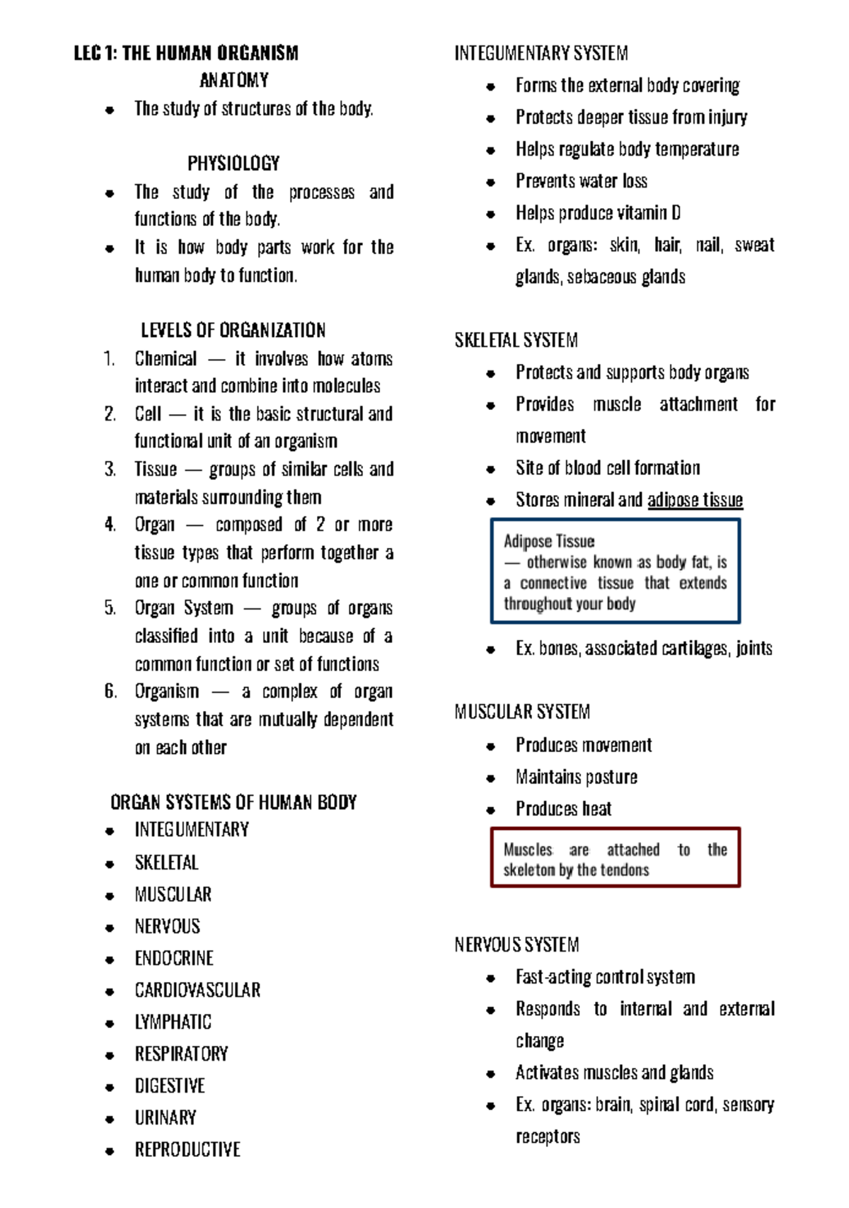 HES 010 Anaphy Notes - Good luck in life! - LEC 1: THE HUMAN ORGANISM ...