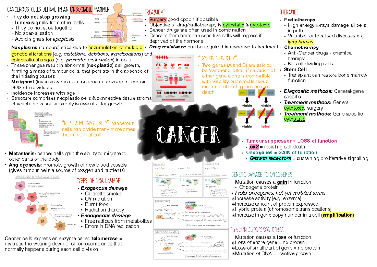Introduction to Cancer MINDMAP - Cancerous cells behave in an ...
