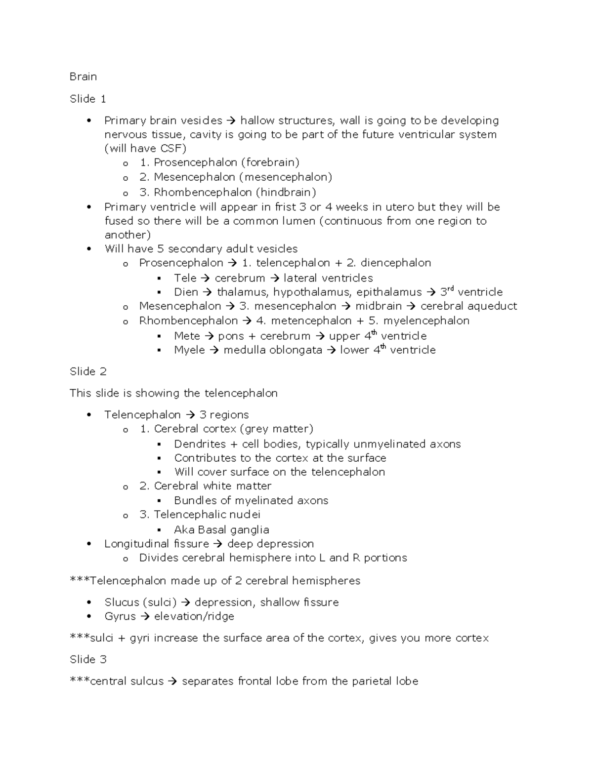 Brain word doc - Summary Advanced Anatomy I - Brain Slide 1 Primary ...