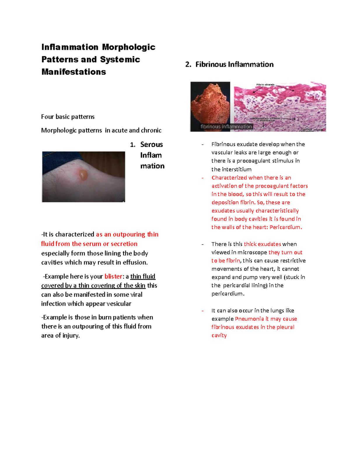 Inflammation Morphologic Patterns and Systemic Manifestations ...