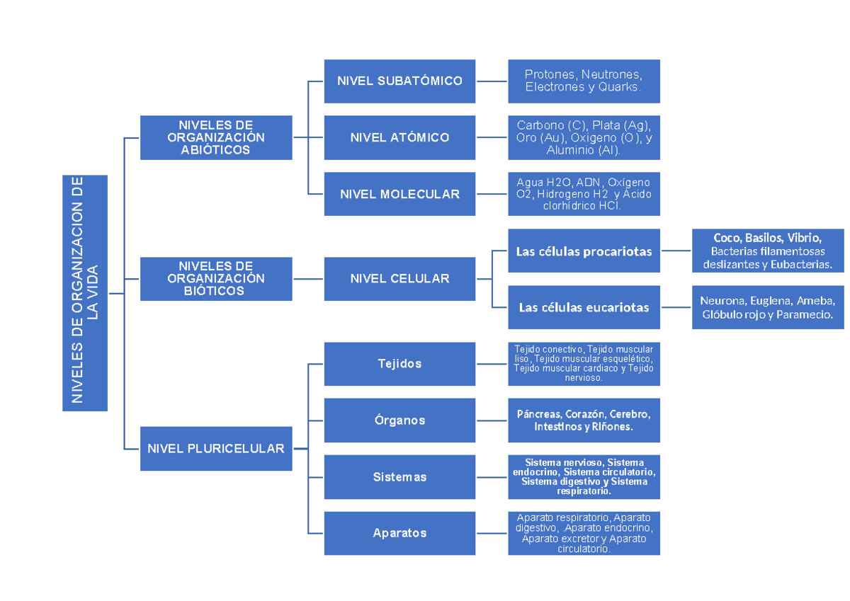 Esquema jerarquico de los tres niveles de organizacion de la vida ...