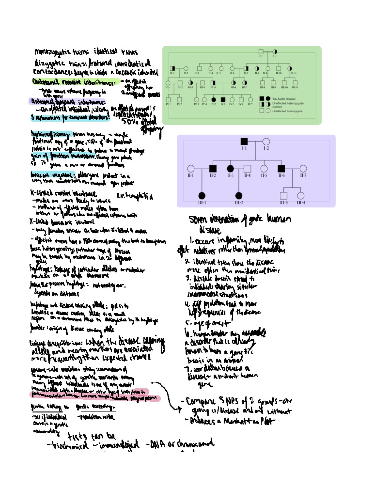 Chapter 22 Twins Haploinsufficiency Gain Of Function Mutations