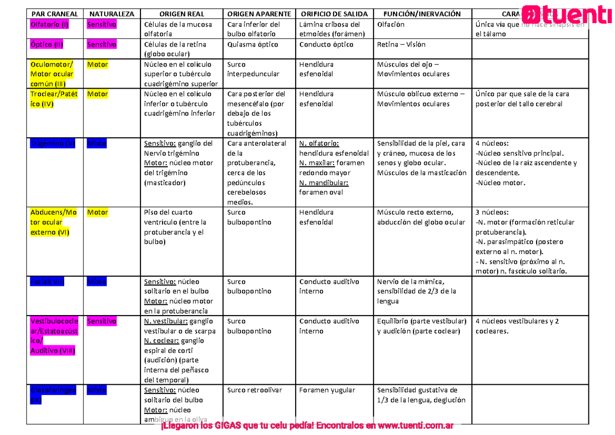 Nervios craneales - Warning: TT: undefined function: 32 Warning: TT: undefined function: 32 PAR ...