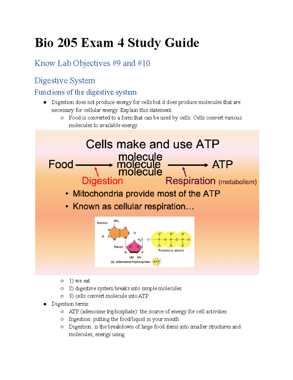 BIO 205 Final EXAM - Bio 205 Exam 4 Study Guide Know Lab Objectives #9 ...