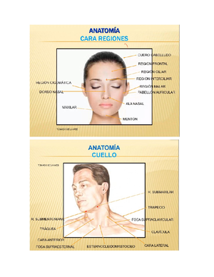 Poder General - PODER GENERAL QUE OTORGA EL SEÑOR LUIS FELIPE SALAS ...