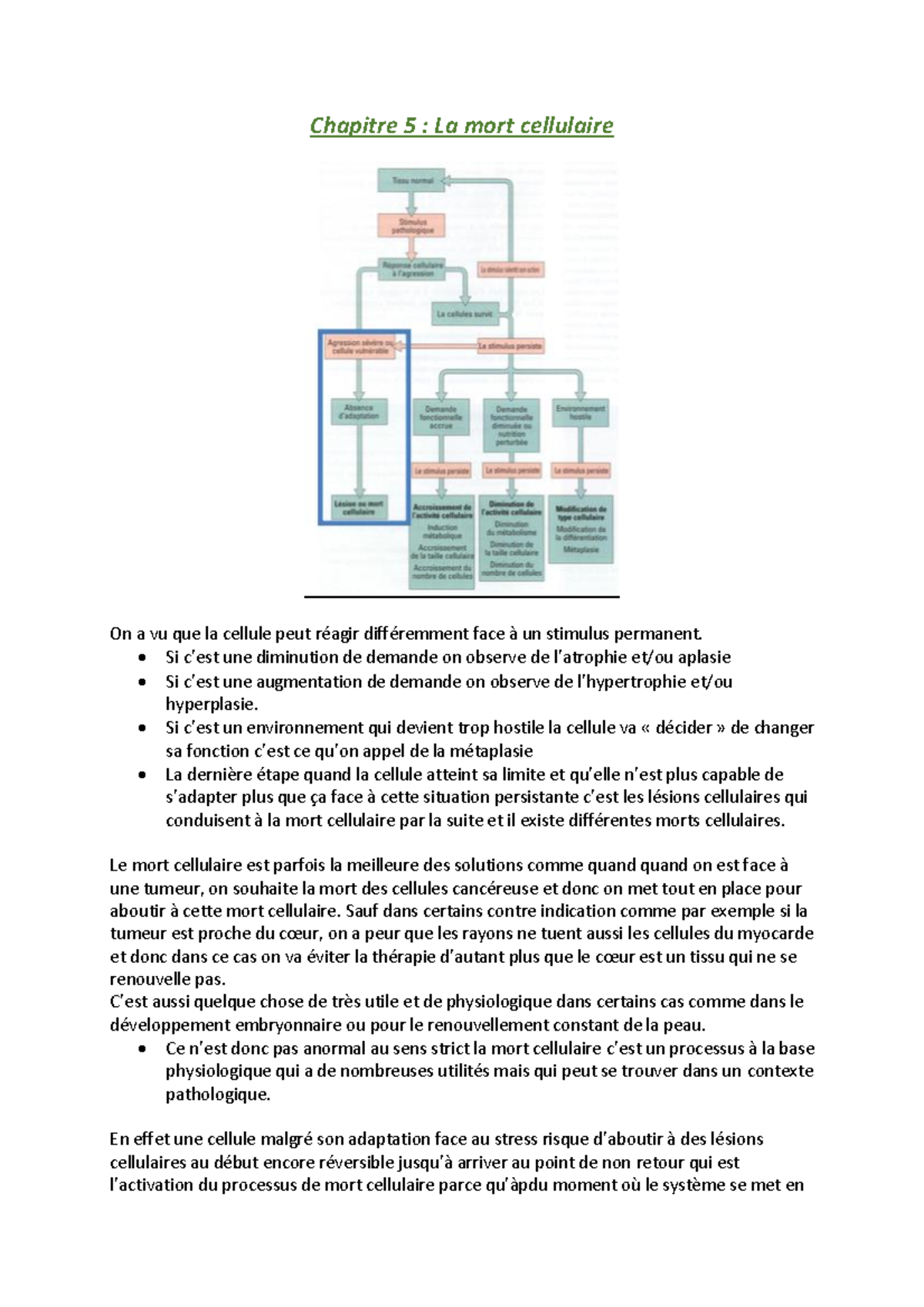Chapitre 5 la mort cellulaire Anapath - Chapitre 5 : La mort cellulaire ...