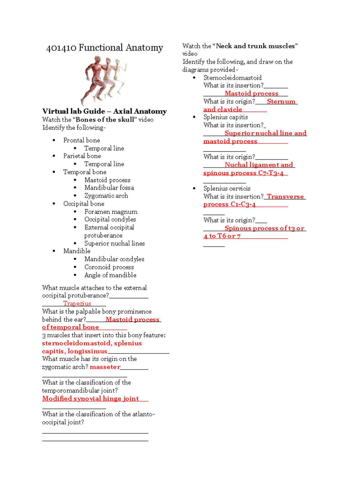401410 Functional Anatomy Lab Guide 1 - 401410 Functional Anatomy ...