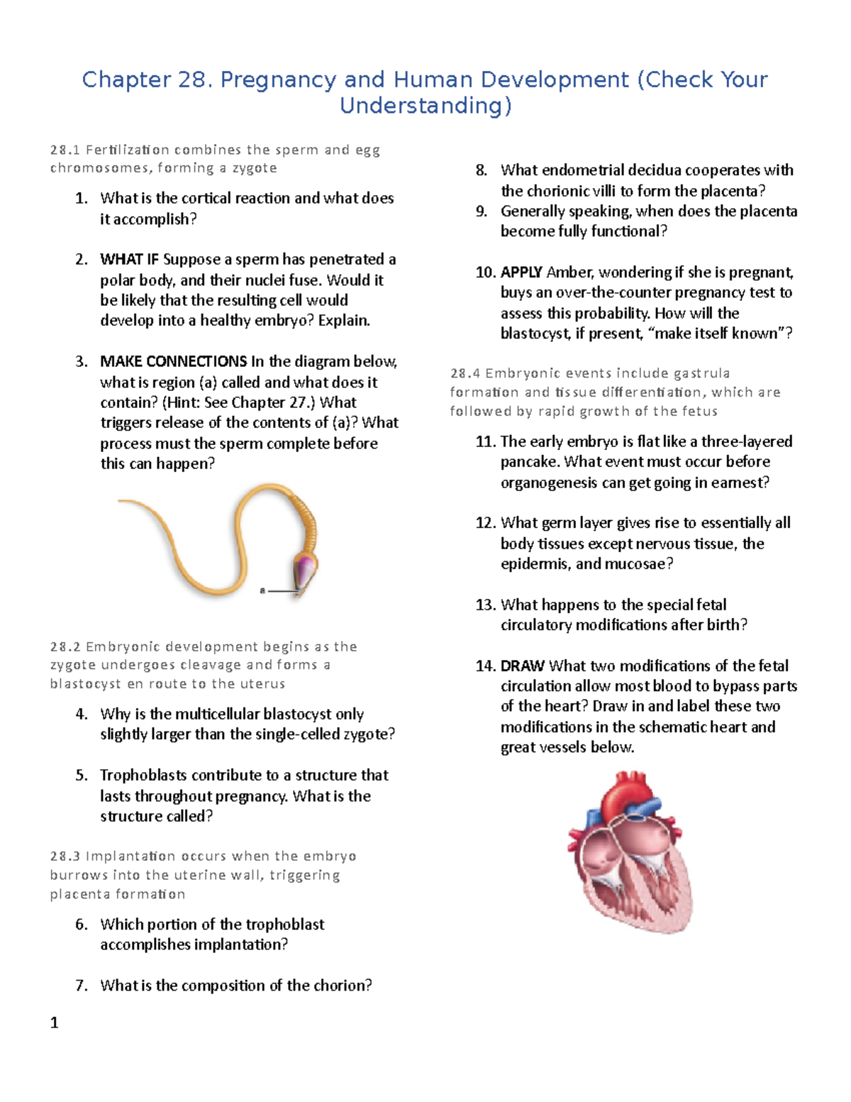 BIOM1060 Textbook - Check Your Understanding (Chap. 28) - Chapter 28 ...
