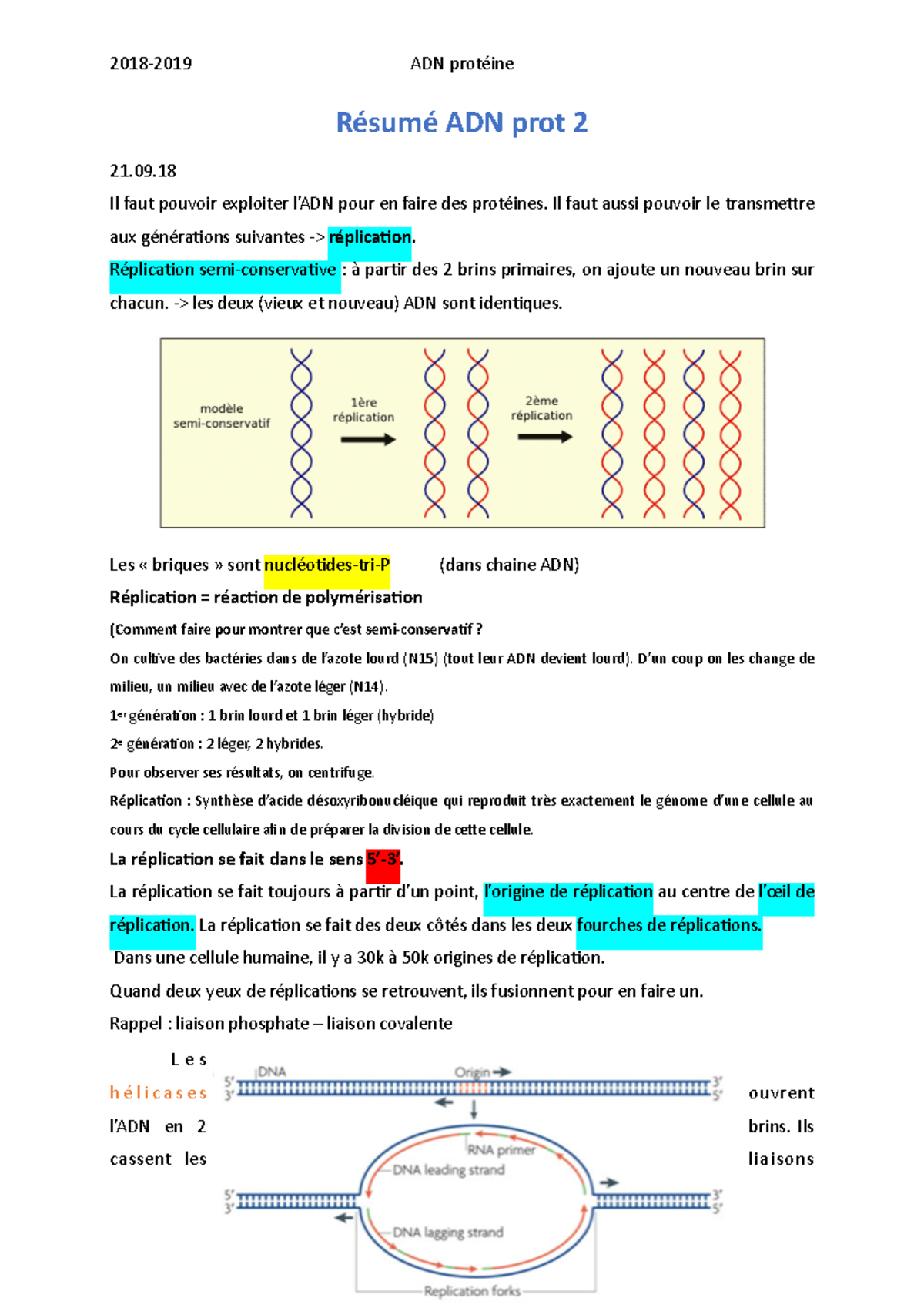 B) replication - Warning: TT: undefined function: 32 Résumé ADN prot 2 21. Il faut pouvoir ...