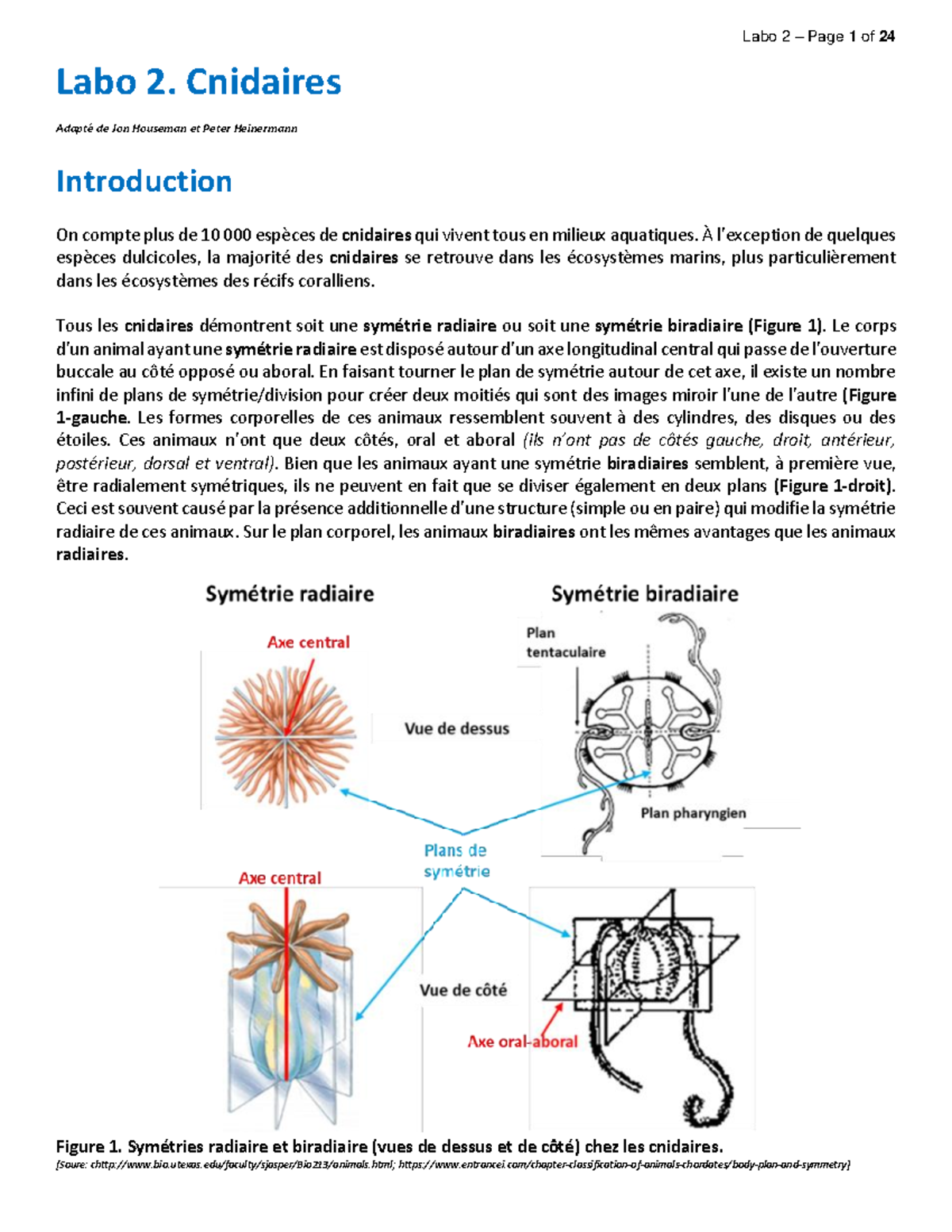 Labo 2-Cnidaires-2024 - Labo 2. Cnidaires Adapté de Jon Houseman et Peter Heinermann ...