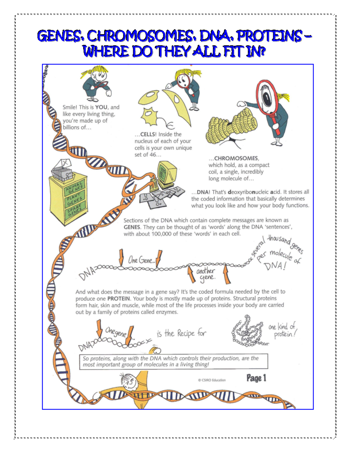 DNA Word Booklet Section - G G G E E E N N N E E E S S S , , , C C C H ...