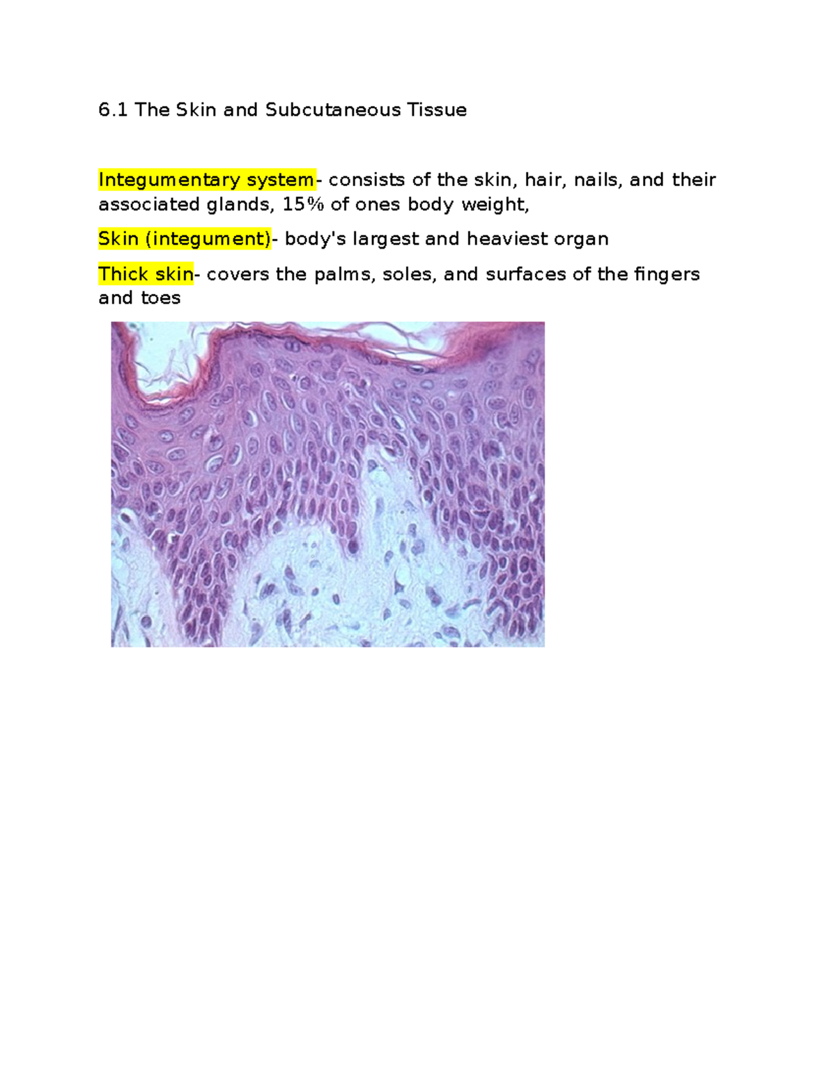 Chapter 6- Dr. Deeba A. - 6 The Skin and Subcutaneous Tissue ...
